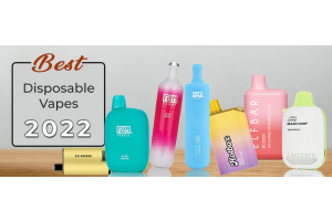 10 Best Disposable Vapes 2022